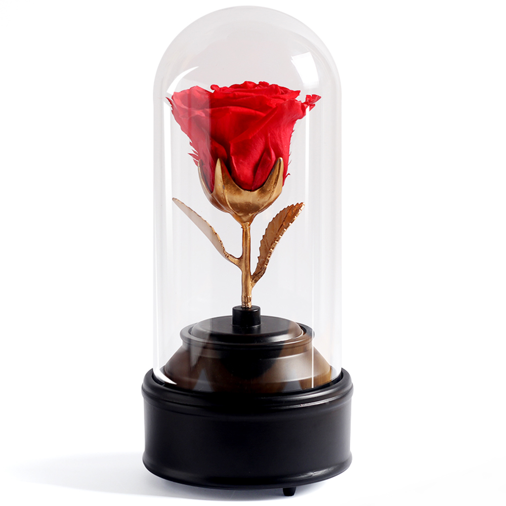 Eternal Rose In Glass Dome Rotating Music Box Cast... – Grandado