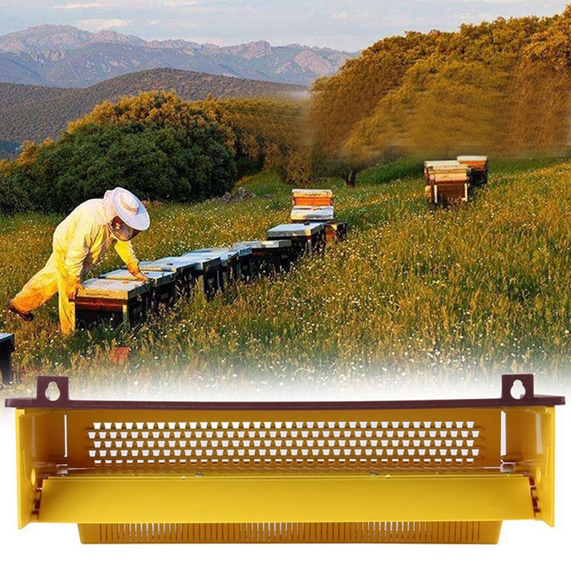 Bee Pollen Trap Plastic Front-Mount Removable Vent... – Grandado