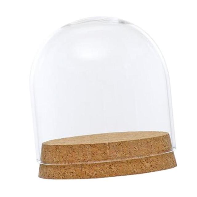Glass Dome Cloche Cover Wood Cork Base Microlandsc... – Vicedeal