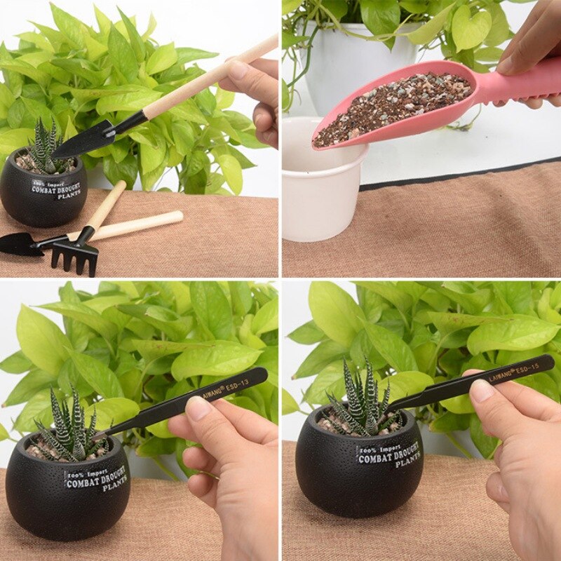 Succulent Transplanting Mini Garden Planting Bucke... – Vicedeal