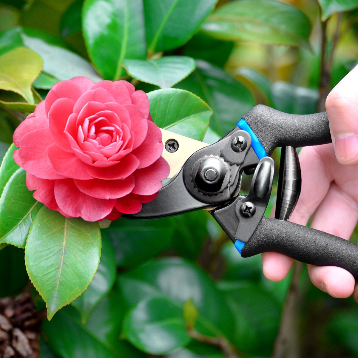 PROSTORMER Pruning Shear Gardening Scissors PVC Ha... – Grandado