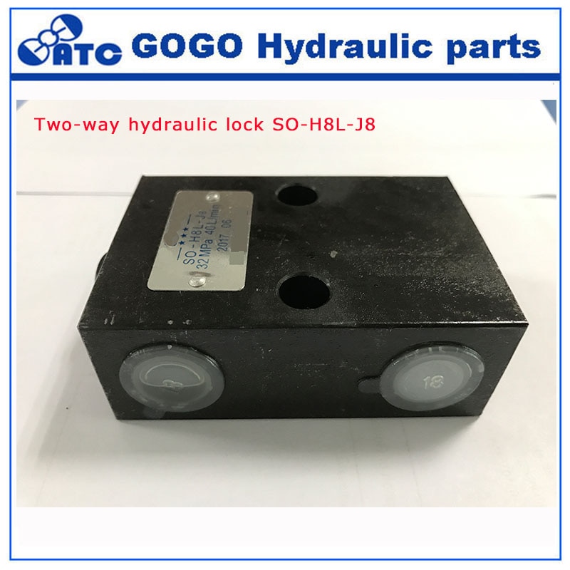 Truck Mounted Crane parts Two-way hydraulic lock S... – Grandado