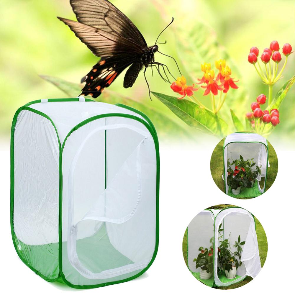 Large Size Insect and Butterfly Habitat Cage Terra... – Grandado