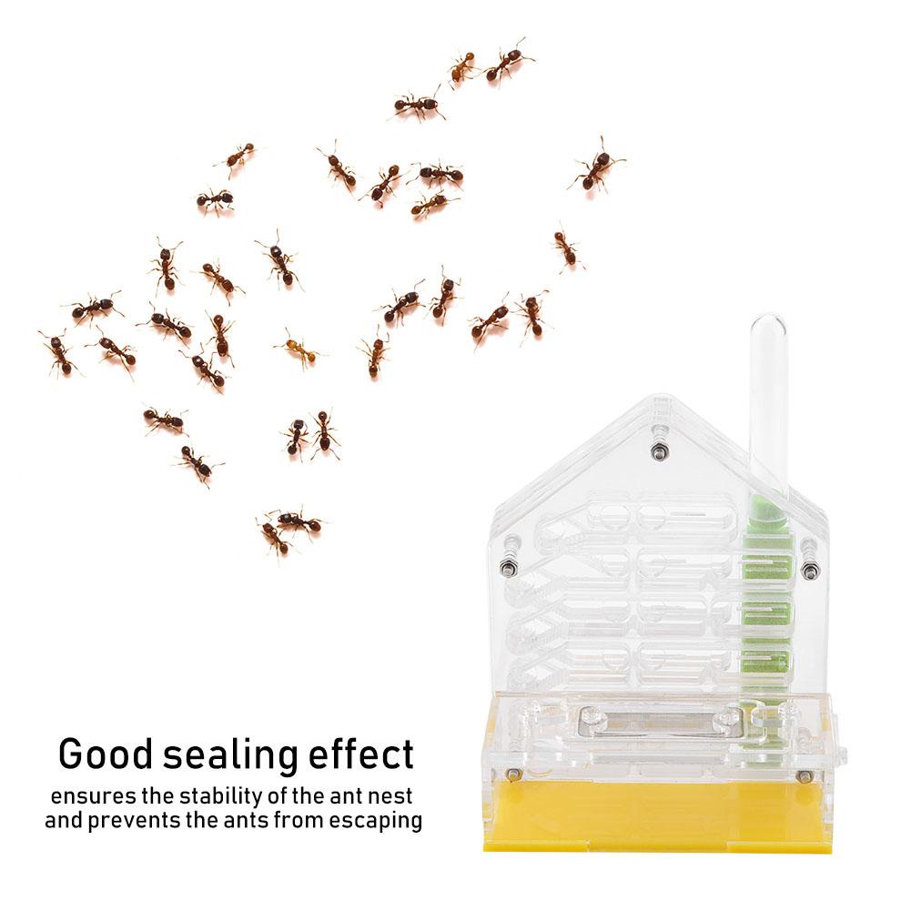 Acrylic Ant Nest Villa Farm House Formicarium For ... – Grandado