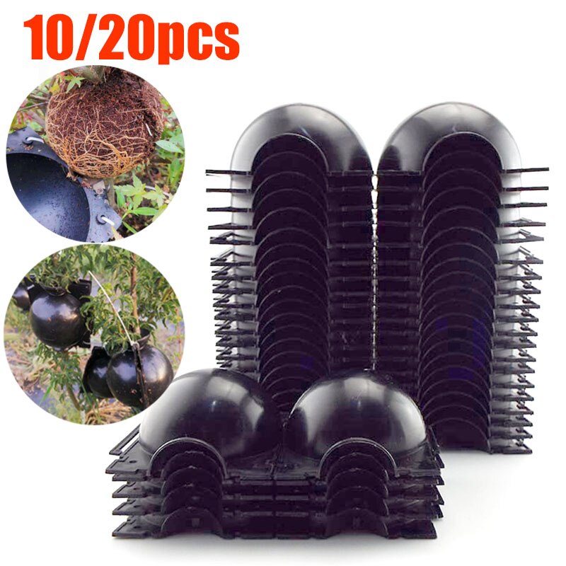 10/20pcs Plant Rooting Ball fruit tree Root grow b... – Grandado