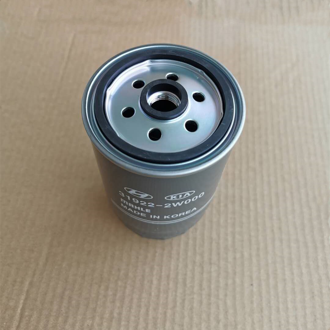 Kraftstoff Filter Patrone Assy Für Hyundai Santa F... – Vicedeal