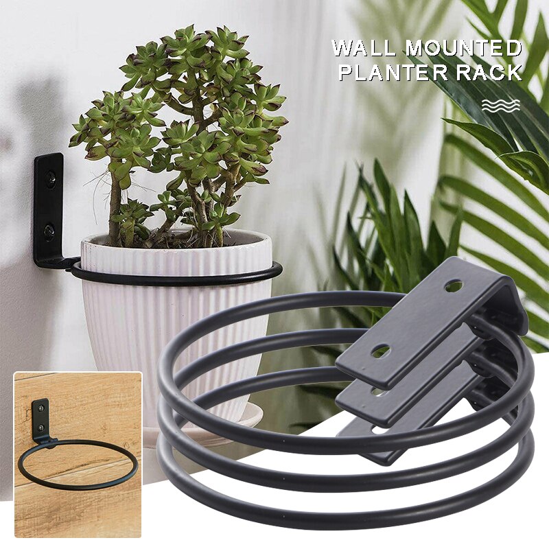 3pcs Plant Flower Pot Wall Mounted Ring Holder Flo... – Vicedeal