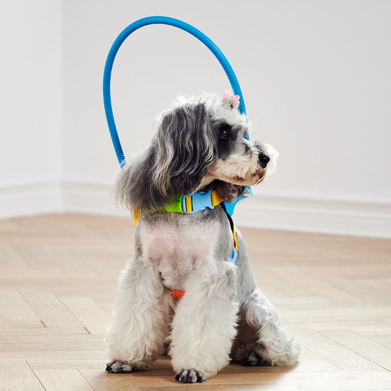 Blind Dogs Pet Safe Harness Anti-collision Ring Pe... – Grandado