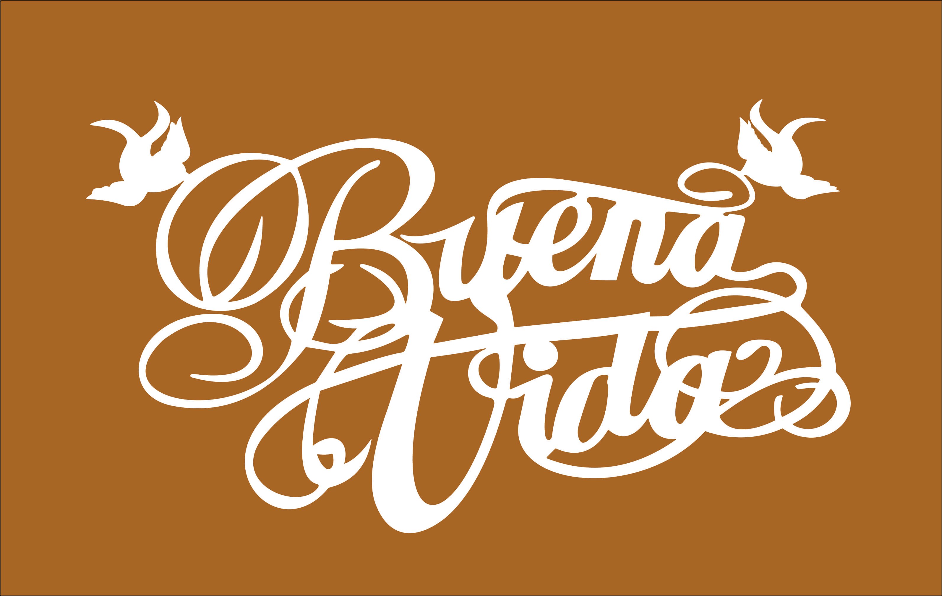 Sticker Buena Vida, Klassieke Stickers – Vicedeal