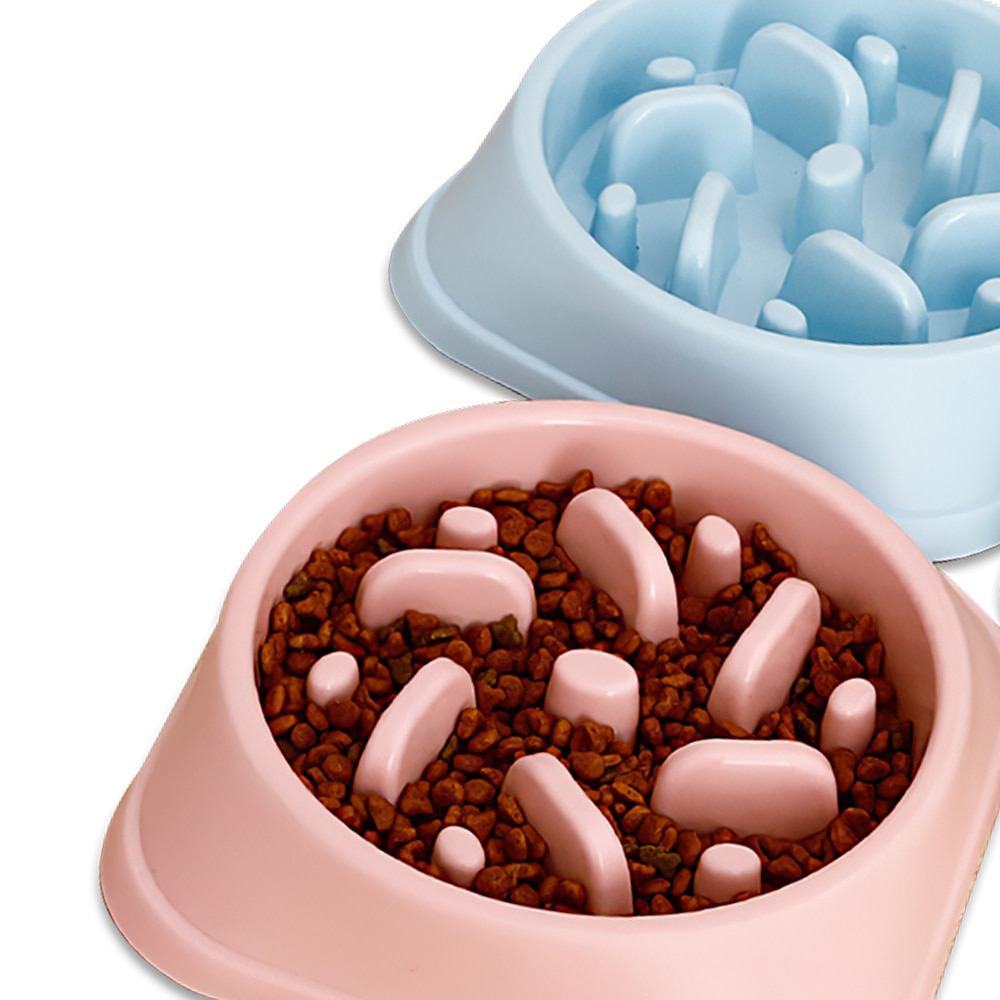 Pet Dog Bowl Slow Feeder Slow Eating Training Bowl... – Grandado