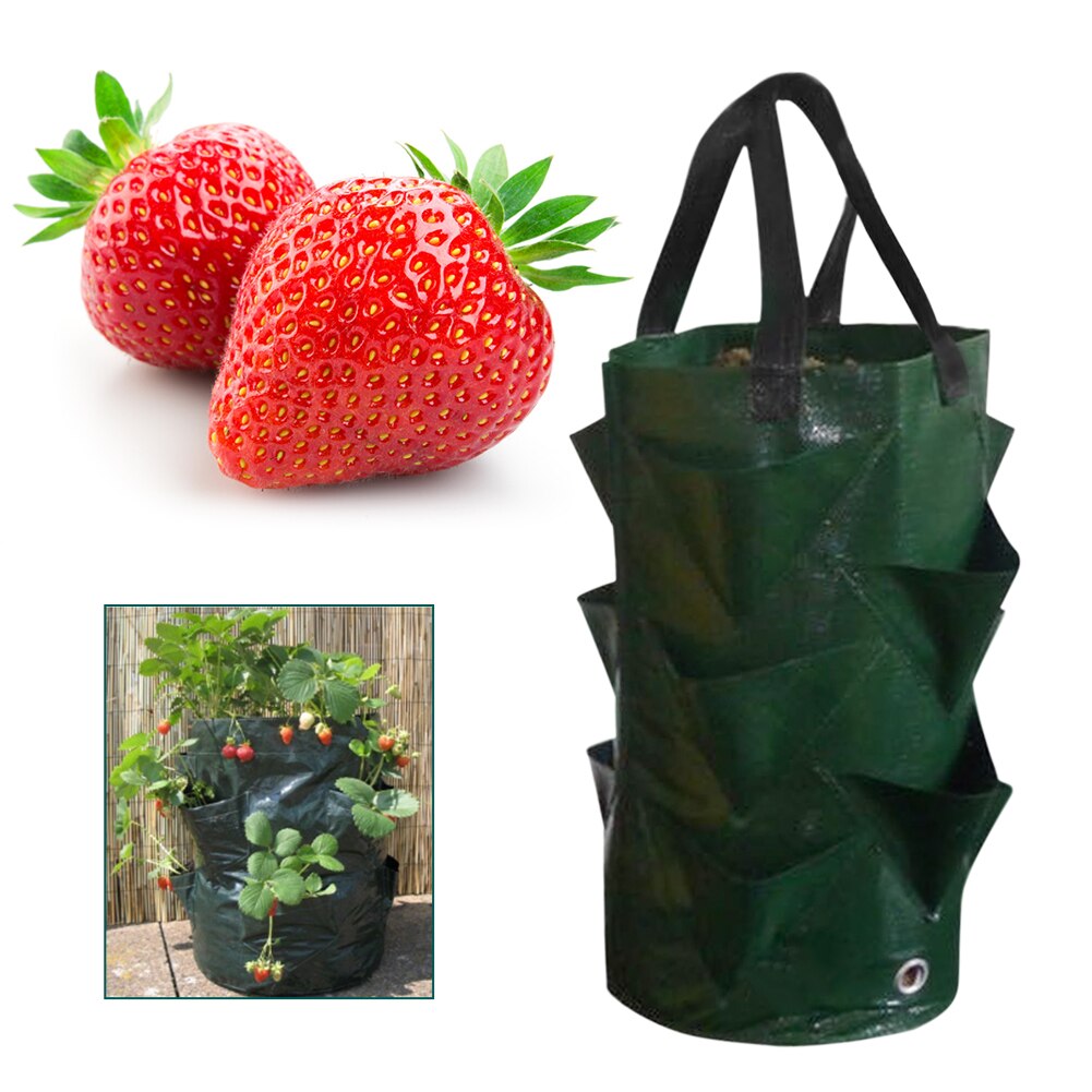 Bolsa de cultivo de fresas para jardín, bolsa Vert... – Grandado
