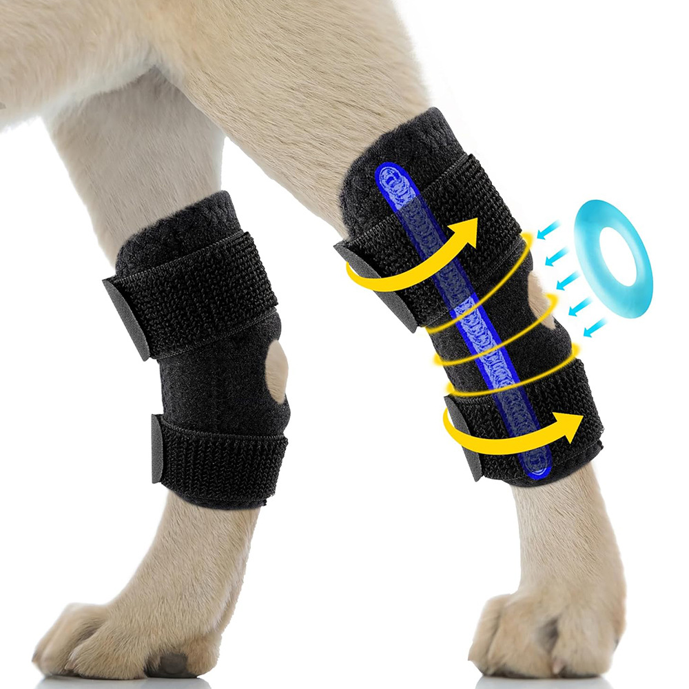 Dog strapping post-surgery sprain dog hind leg aid... – Grandado