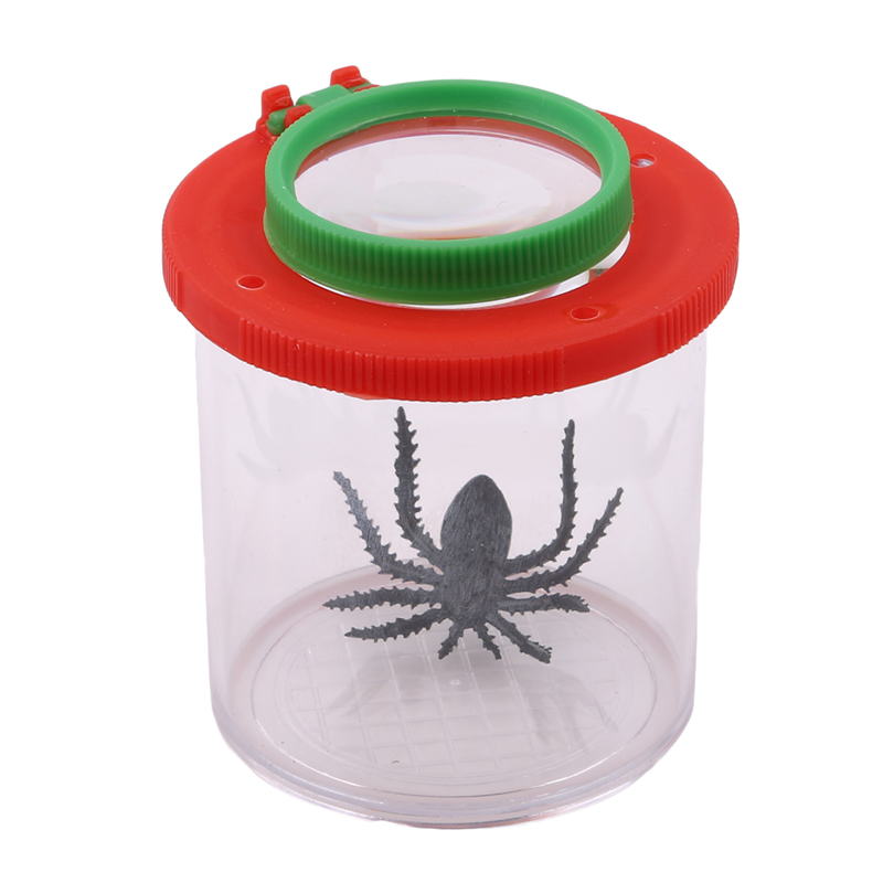 Plastic Bottle Insects Viewer Observation Insects Small Animal ...