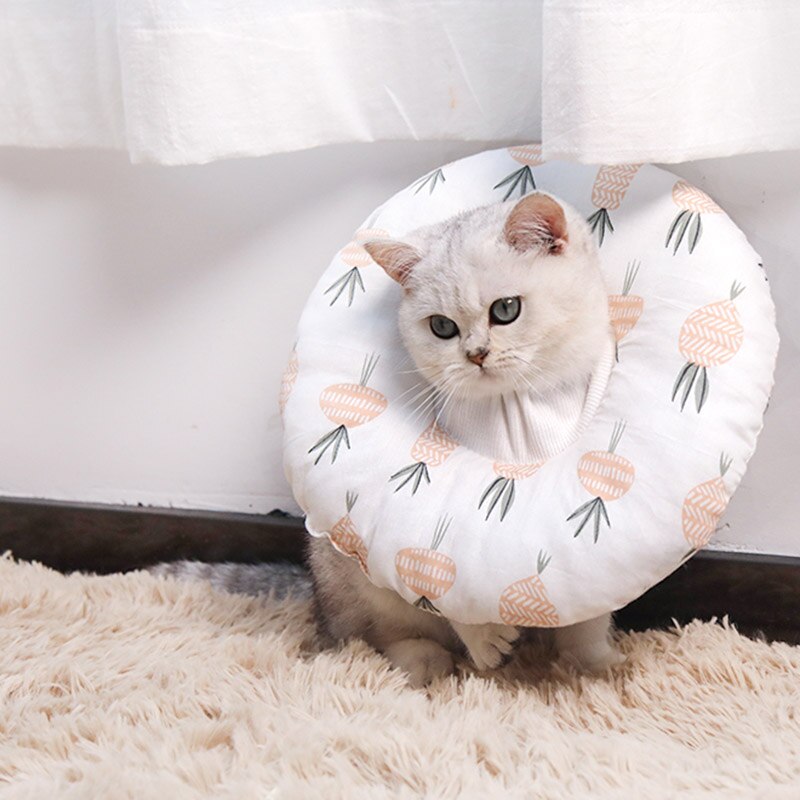 Pet Protective Recovery Collar Cat Dog Anti Lickin... – Grandado