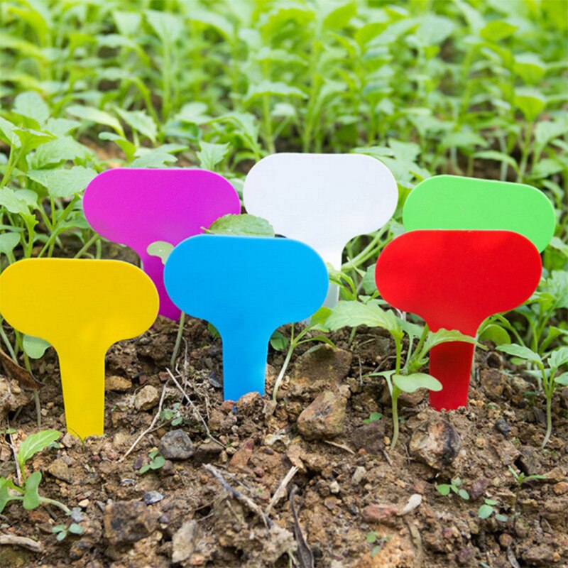 100pcs Colorful Plant Labels Markers Garden Vegeta... – Grandado
