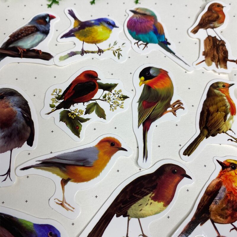 40Pcs/Pack Cute Birds PVC Waterproof Sticker DIY C... – Grandado