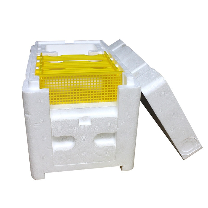 Bee Mating Breeding Box Beekeeper Apiary Queen bee... – Grandado