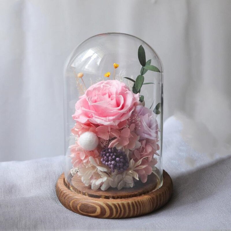 9*18cm Antique Base Glass Dome Home Decoration Dia... – Grandado