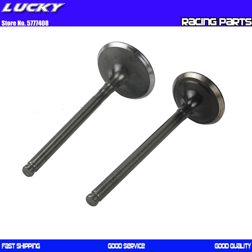 190cc Motorcycle Intake Exhaust Valves Kit For 2V ... – Vicedeal