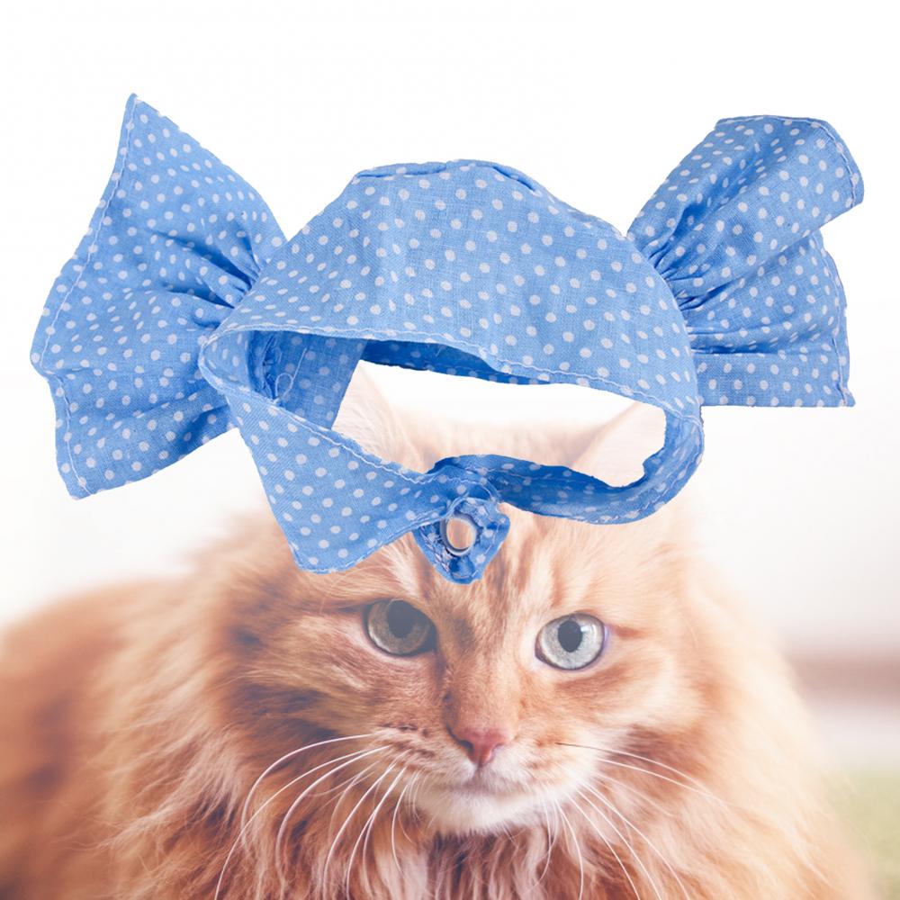 Kat Accessoires Schattige Mode Katoen Kat Kitten C... – Grandado