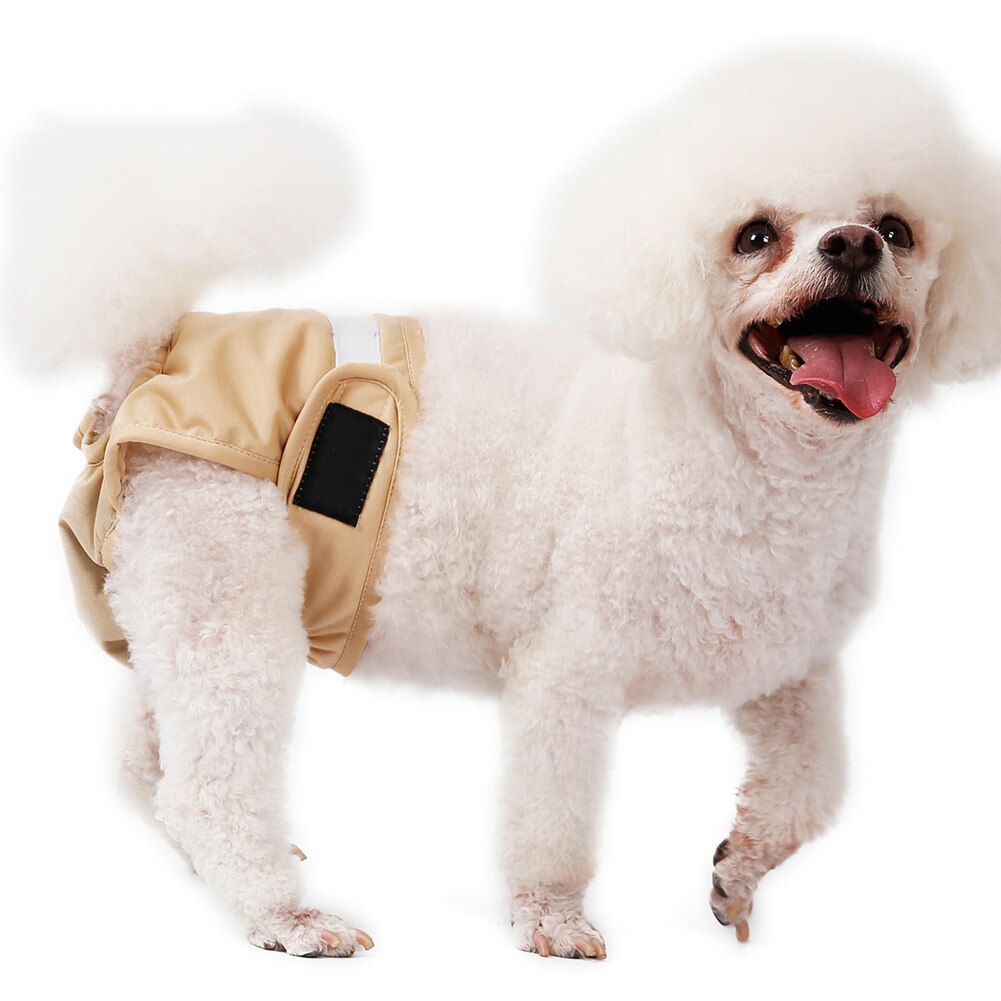 Eenvoudige Leuke Puppy Hond Luier Fysiologische Br... – Vicedeal