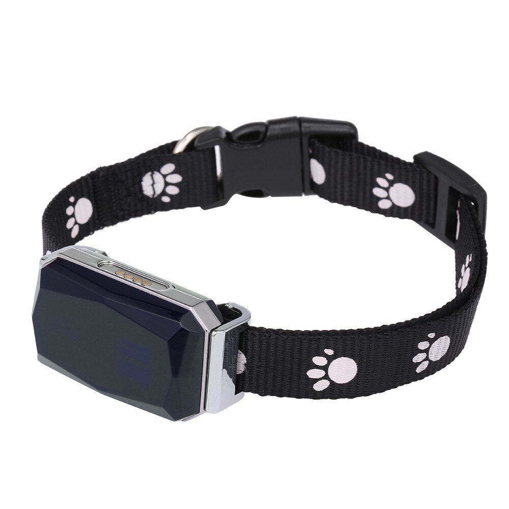 Pet positioning collar Beidou GPS pet locator Mult... – Vicedeal