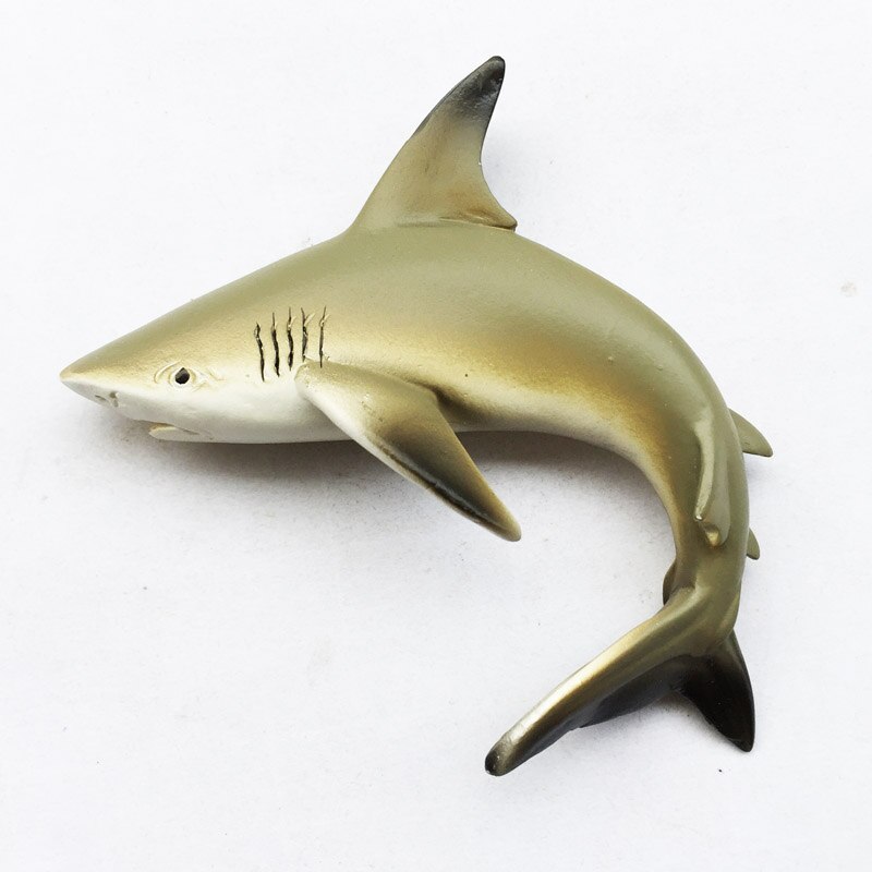 stereo shark fridge magnet maldives souvenir 3D ki... – Grandado
