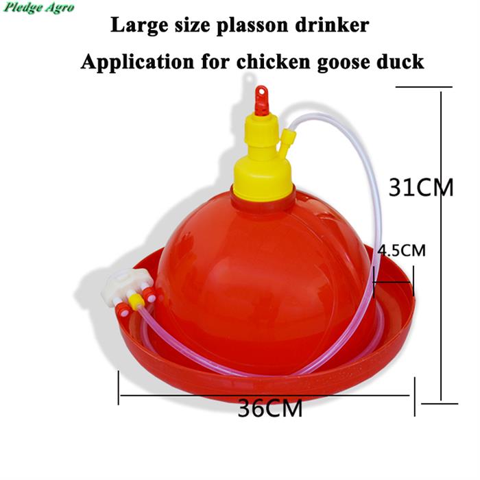 1 Set Plasson Broiler Bell Duck Chicks Drinking Wa... – Vicedeal