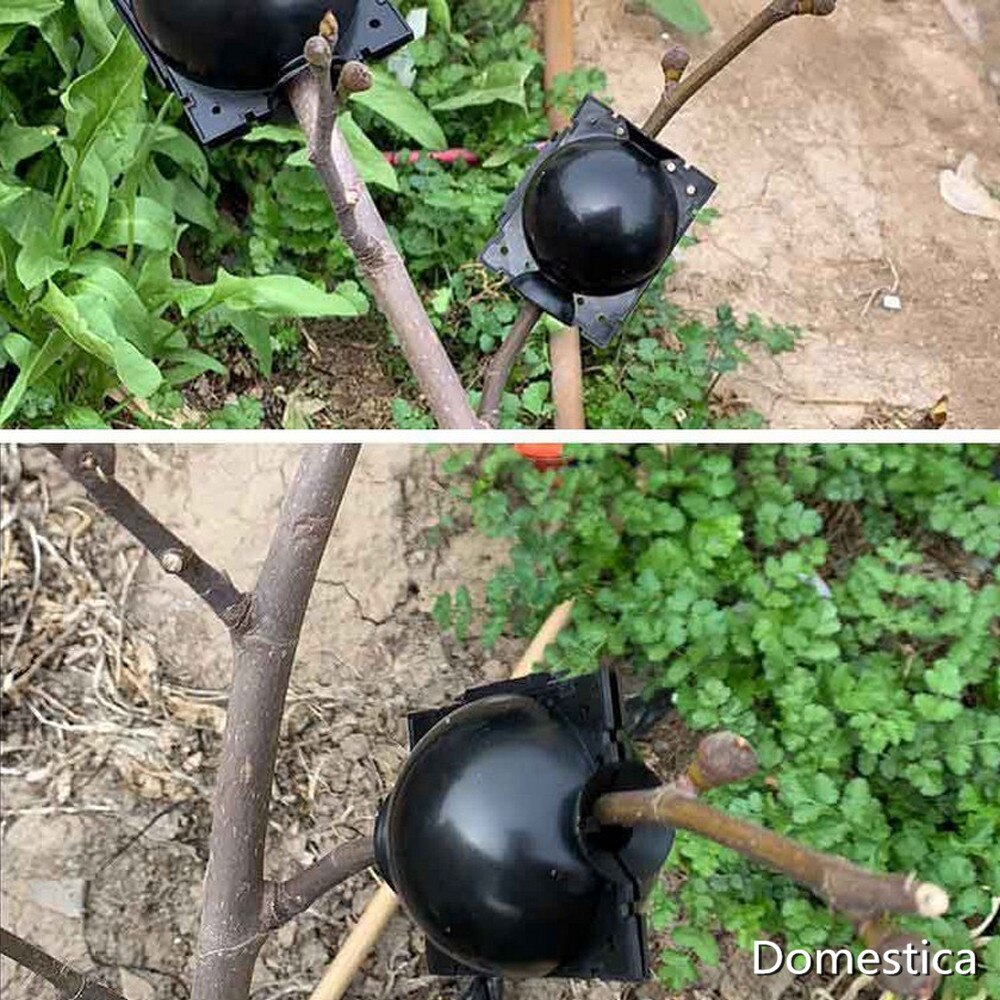 Plant High-Pressure Box Cutting Box Grafting Devic... – Vicedeal