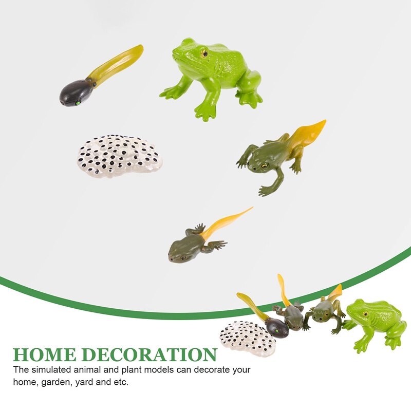 3 Sets Simulation Frog Life Cycle Figures Growth S... – Grandado
