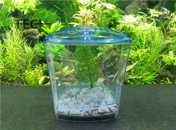Aquarium acrylic single betta house fighting Betta... – Vicedeal