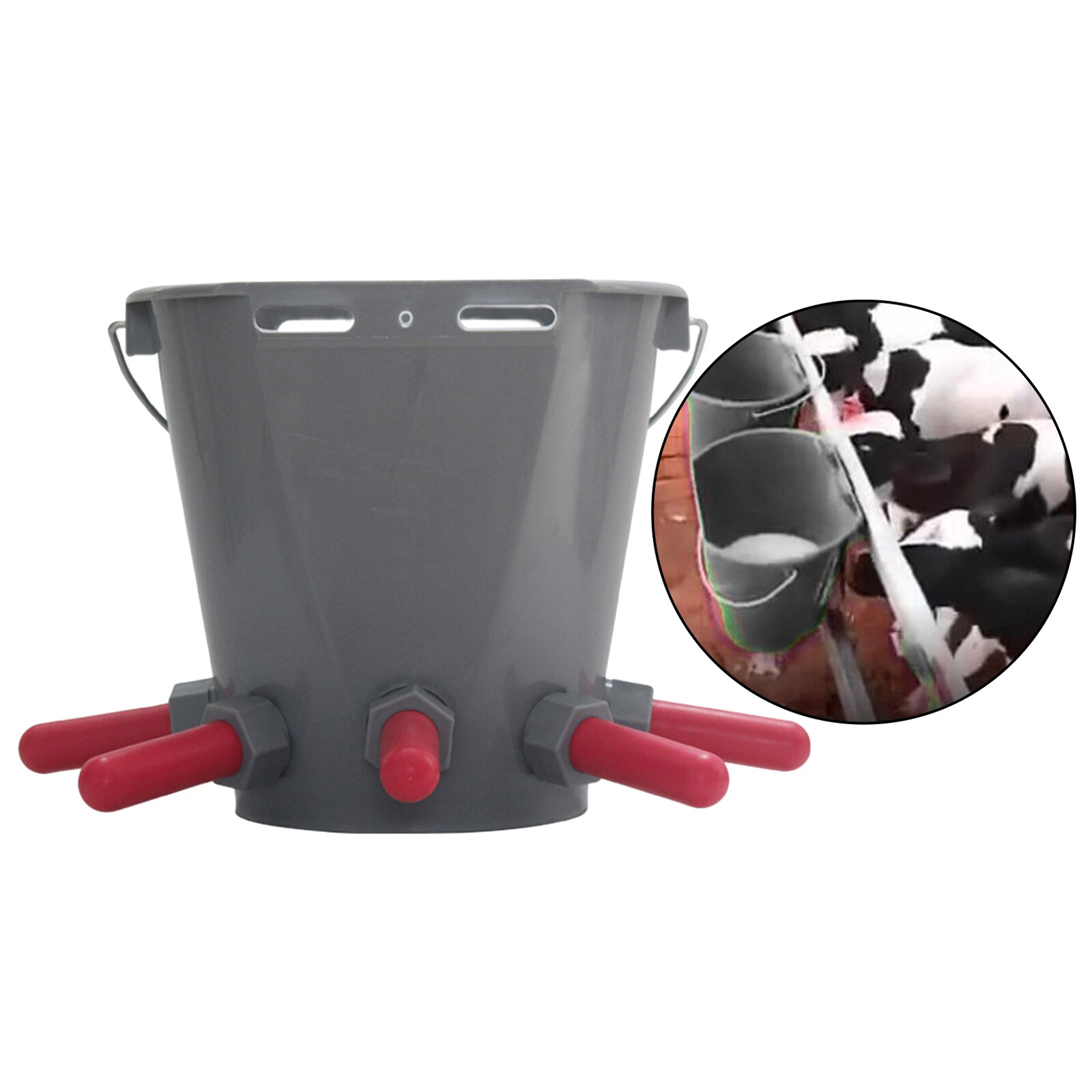 8L Lamb Milk Bottle Farm Animal Feeding Pail Caif ... – Vicedeal