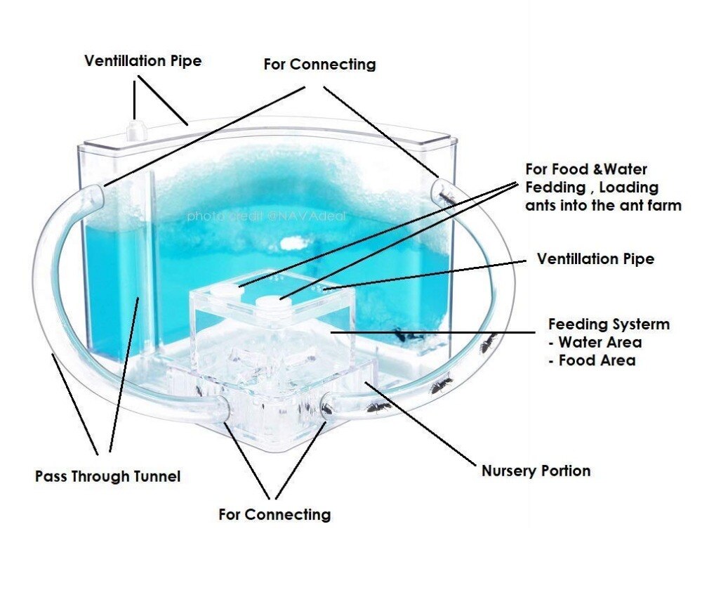 Ant Farm Castle with Tubes, Habitat Educational & ... – Grandado