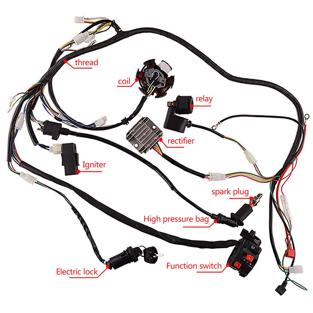 Bedrading-Harnas Stator-Kit Atv Bobine Duurzaam Vo... – Grandado