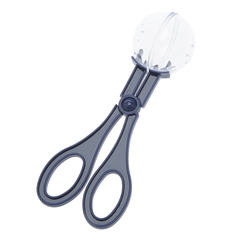 Pet Insekten Reptil Terrarium Aquarium Wurf Blau P... – Vicedeal