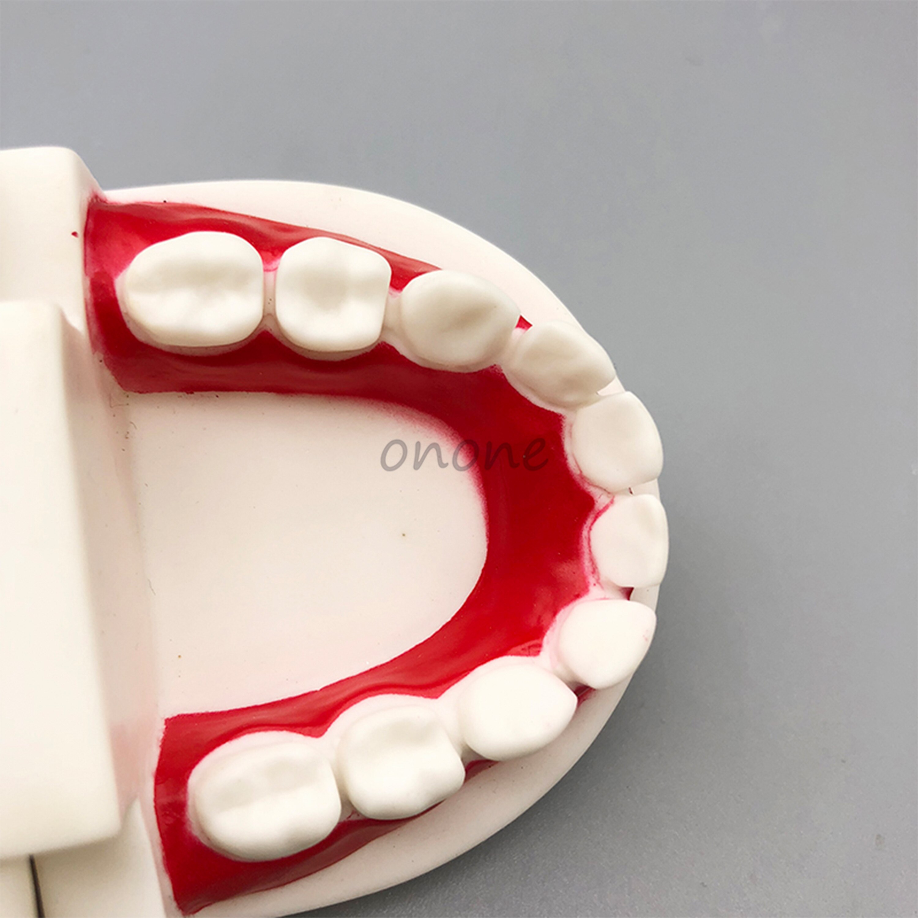 1pcs Good Children Teeth Model Teaching Tooth Mode... – Vicedeal