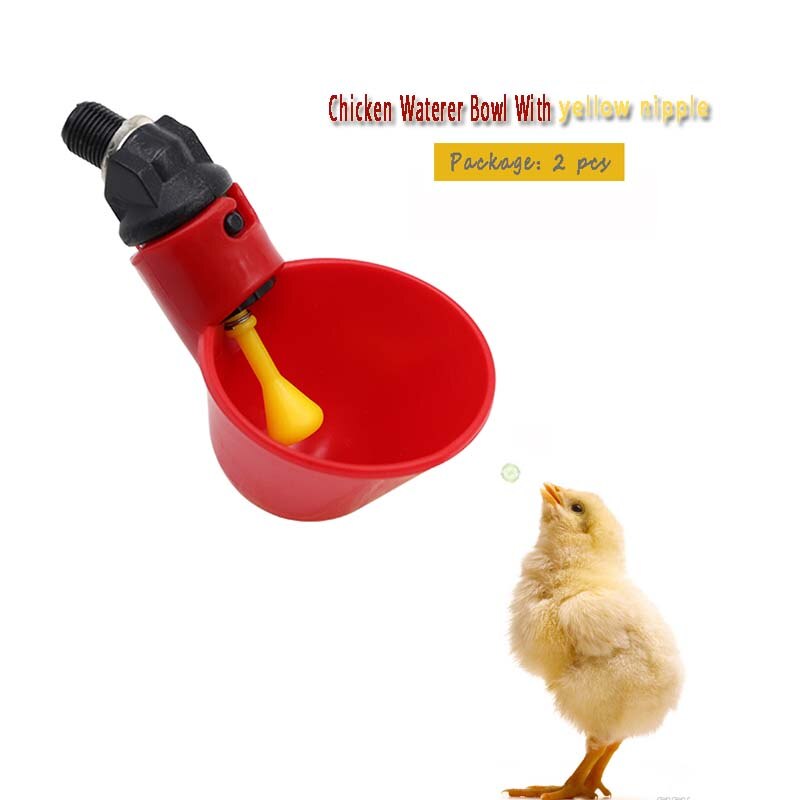 2PCS Chicken Automatic Drinker Quail Chicken Water... – Grandado