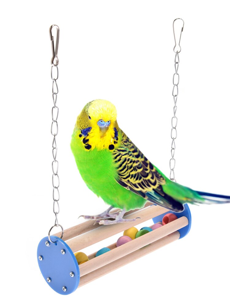 Lintu ahven lemmikkilintu purulelut teline papukai... – Grandado