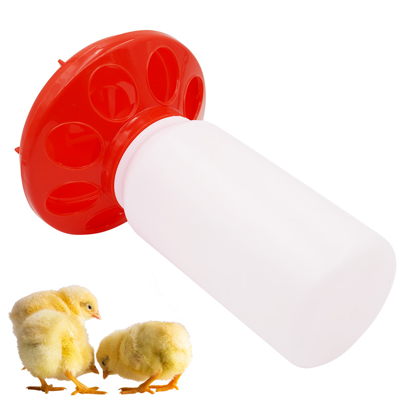 1Pcs Chicken Feed Barrel Bird Drinking Poultry Die... – Grandado