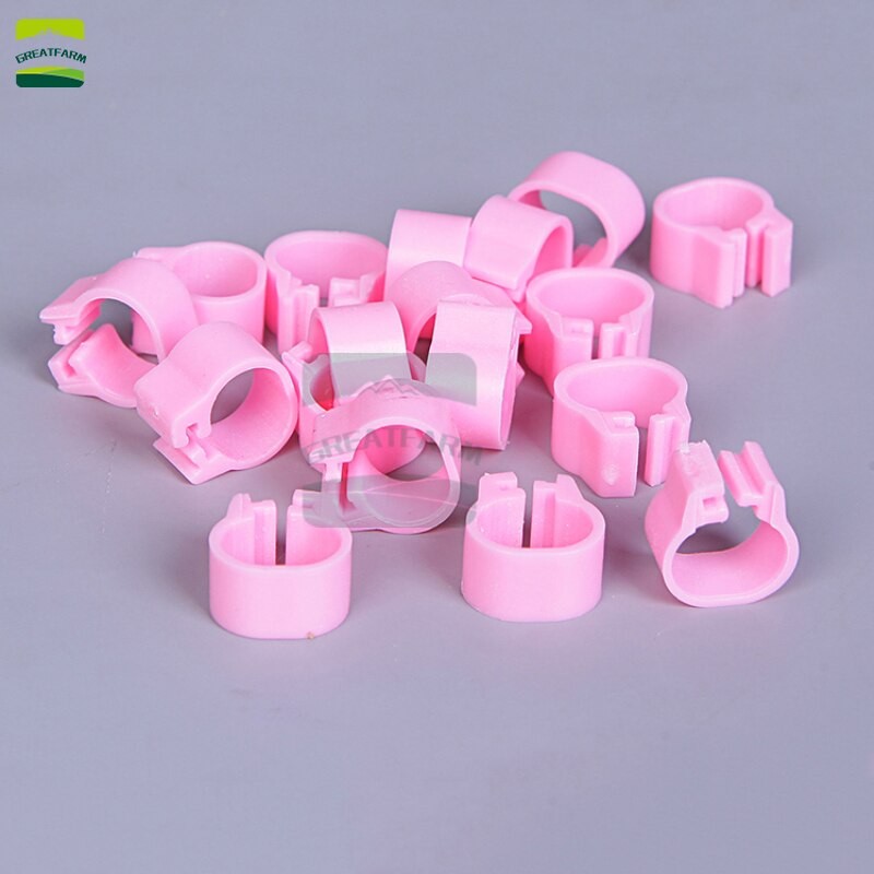 Duif Voet-Ringen 100 Pcs Multicolor Vlees Duif Mar... – Vicedeal