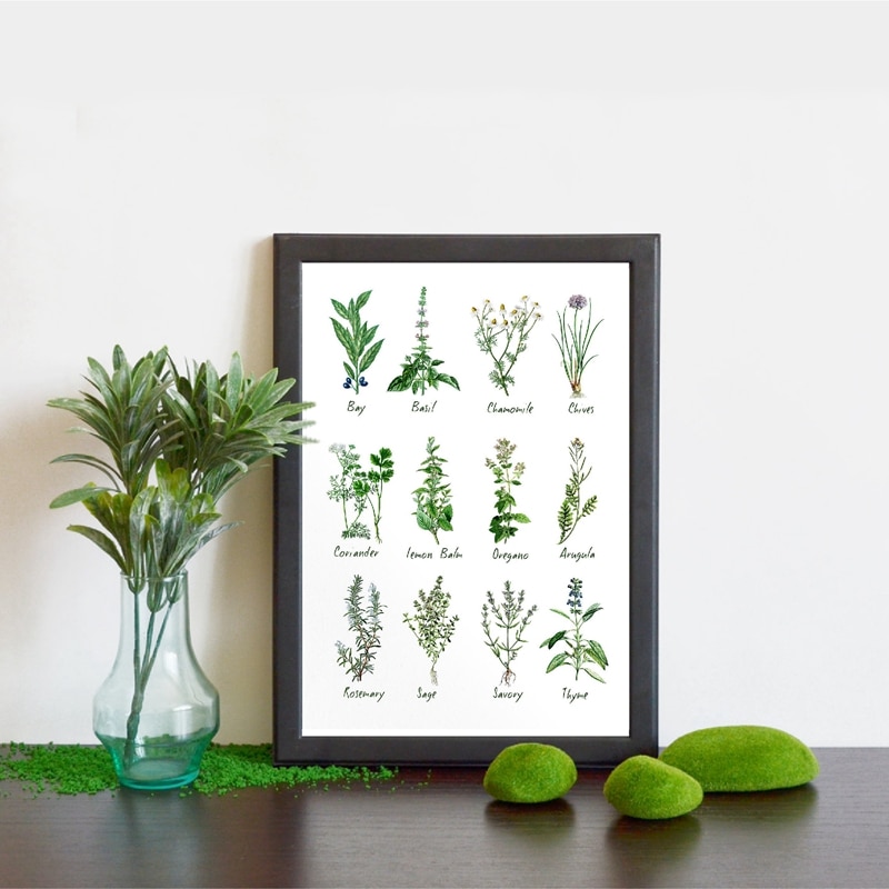Art Decoration Botanical Chart Wall Art Poster Pri... – Grandado