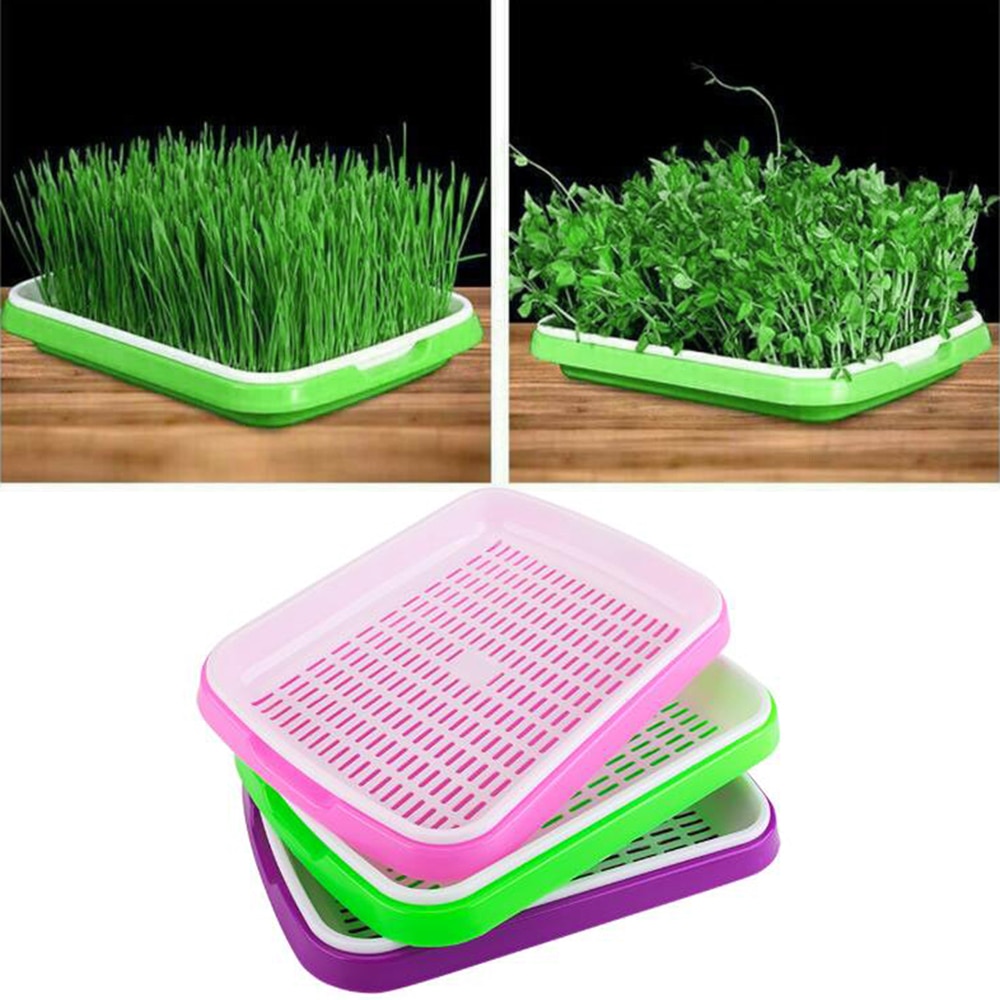 Seed Sprouter Tray Seed Germination Tray 2-layer M... – Grandado