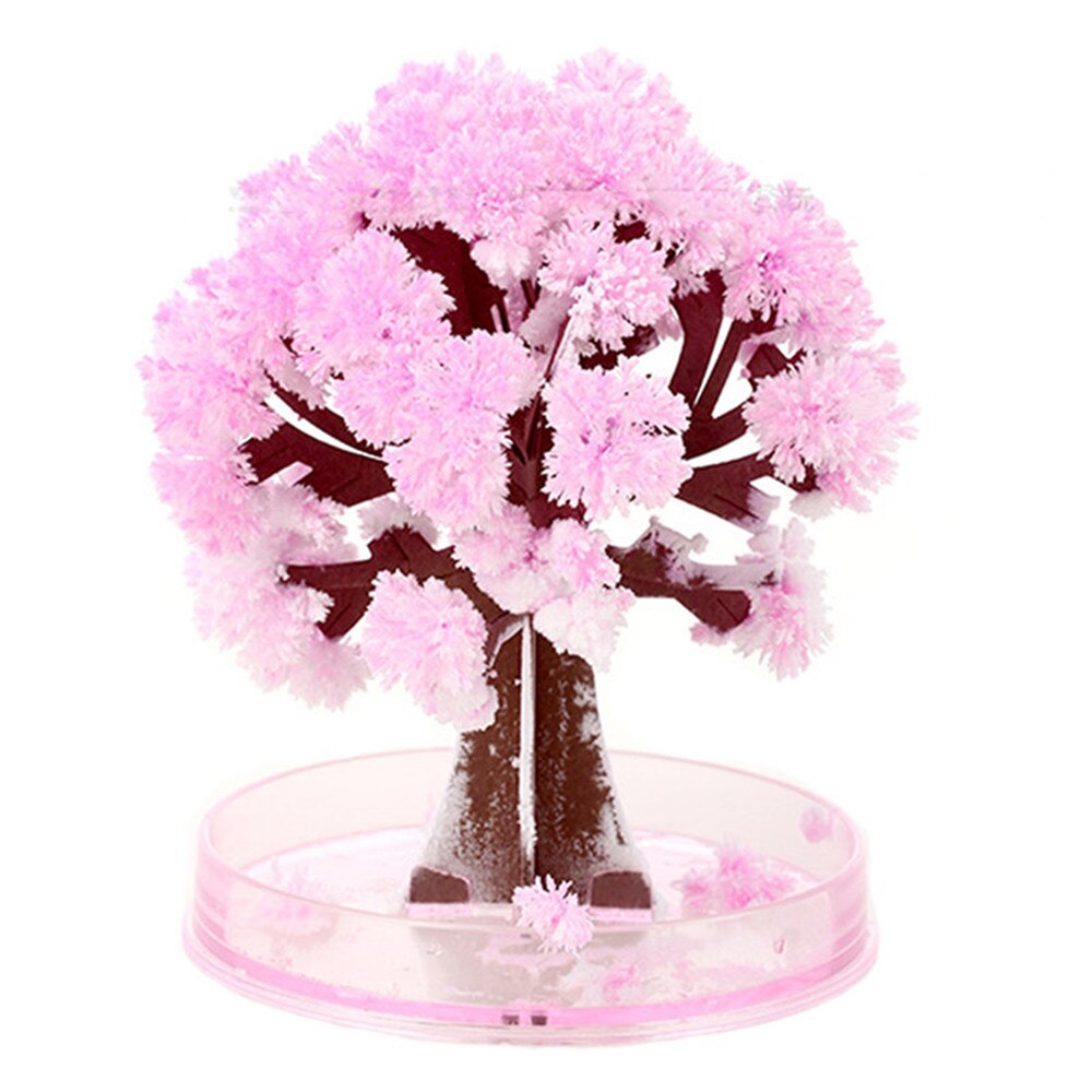 2pcs Crystal growing kit Toys Paper Tree Flowering... – Grandado
