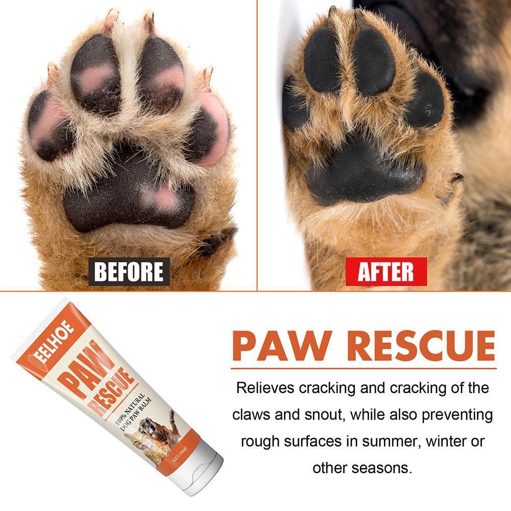 Protect your dogs small paws F4J6 – Grandado