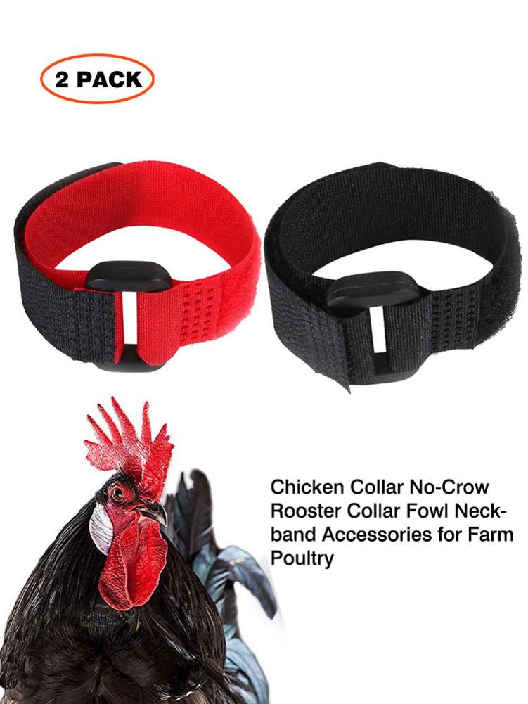 2PCS No Crow Rooster Collar Chicken Collar Noise F... – Vicedeal