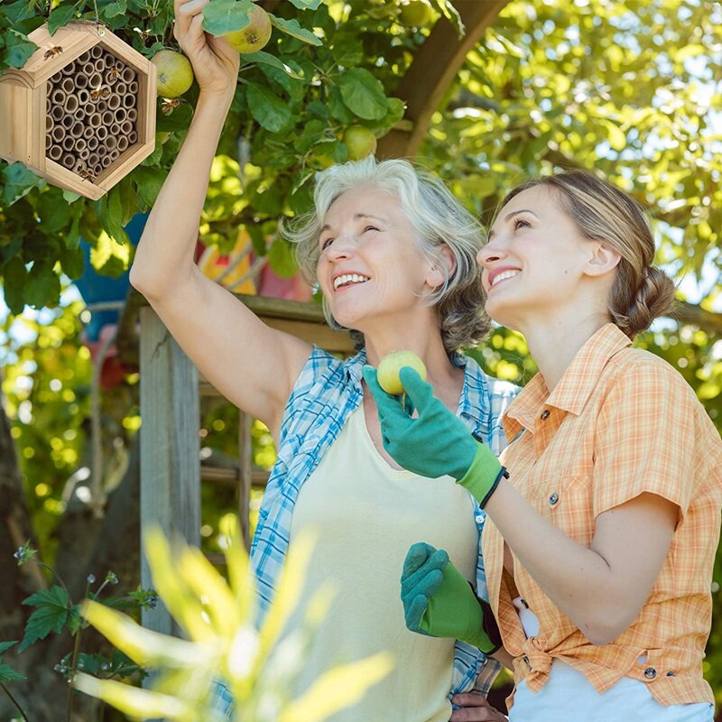 Handmade Natural Bamboo Bee Hive Mason Bee House A... – Grandado