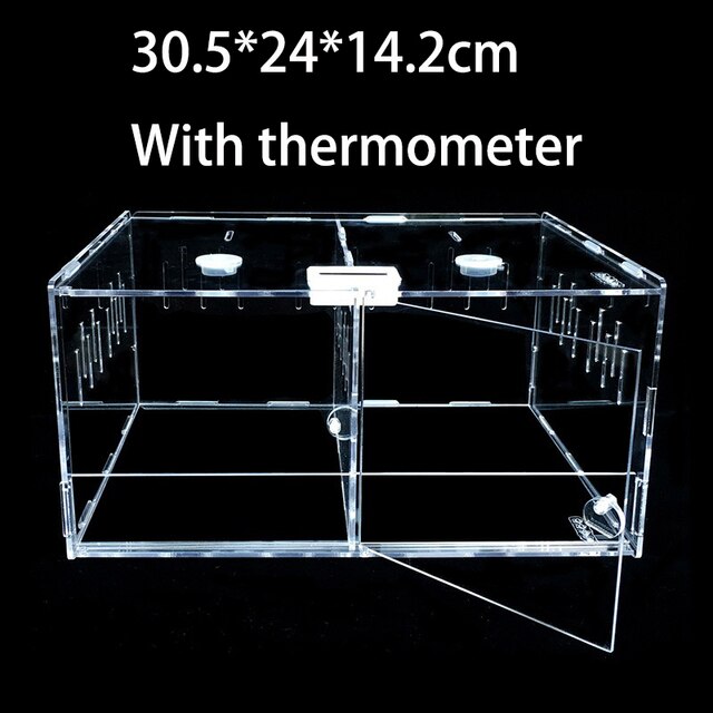 Reptile Feeding Box Insect Spider Tortoise Lizard ... – Grandado