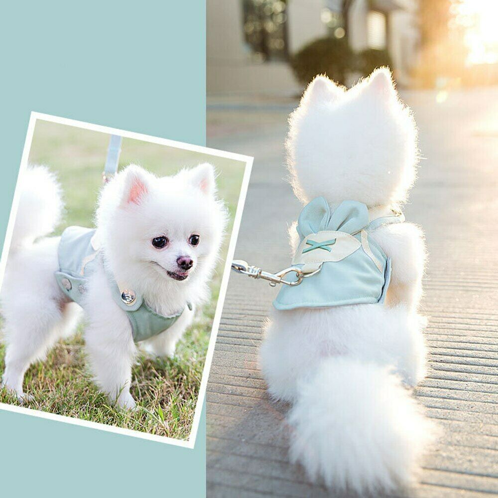 Cute Pet Dog Harness Leash Set – Grandado