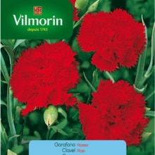 Dubbele Rode Anjer Zaad – Grandado