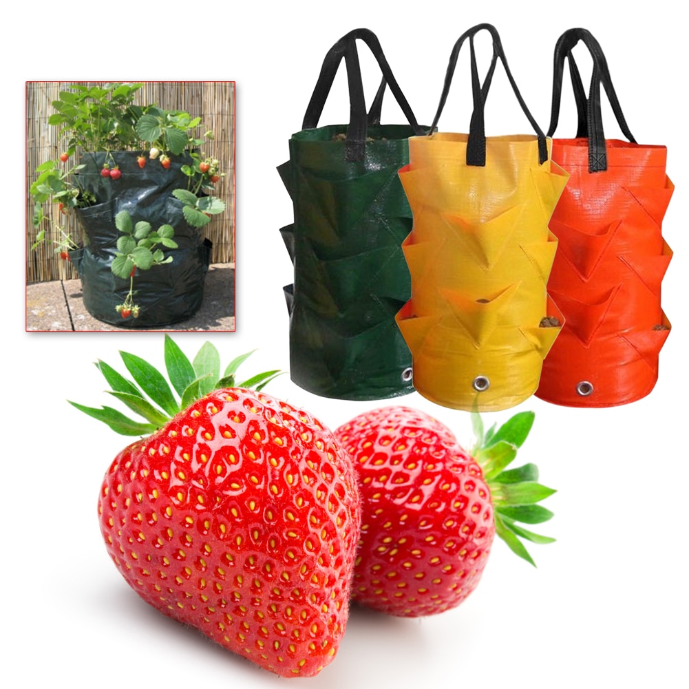 Strawberry Planting Bag 3L Multi-mouth Vertical Fl... – Grandado